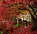 Roger Loyer Obituary - Ottawa, Ontario | Hulse, Playfair & McGarry